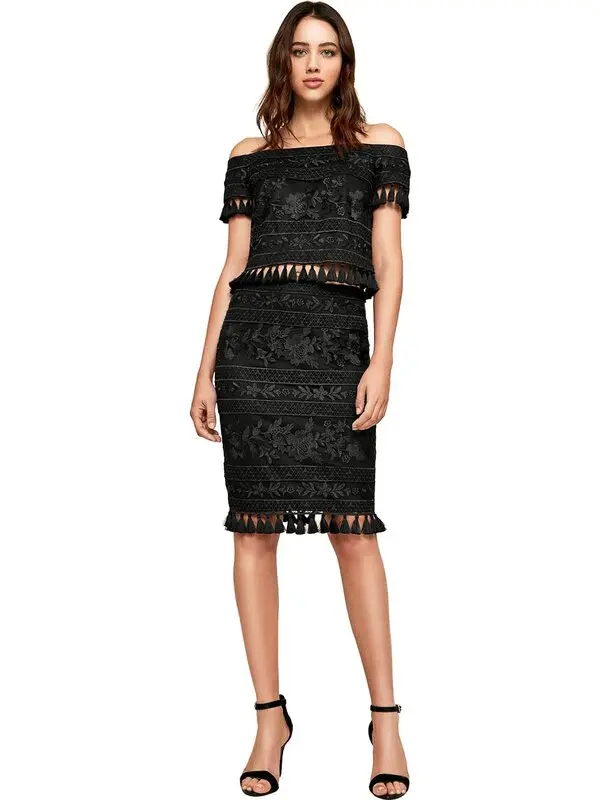 Tadashi Shoji Monyca Embroidered Pencil Skirt - Black