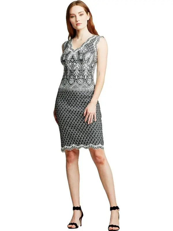 Tadashi Shoji Niall Lace Dress - White/black