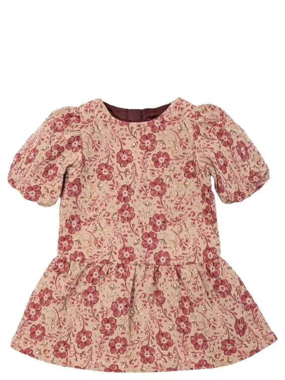 Chloé Floral Print Puff Sleeve Dress - Pink