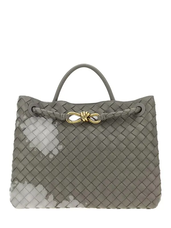 Bottega Veneta Andiamo Medium Handbag - Gray