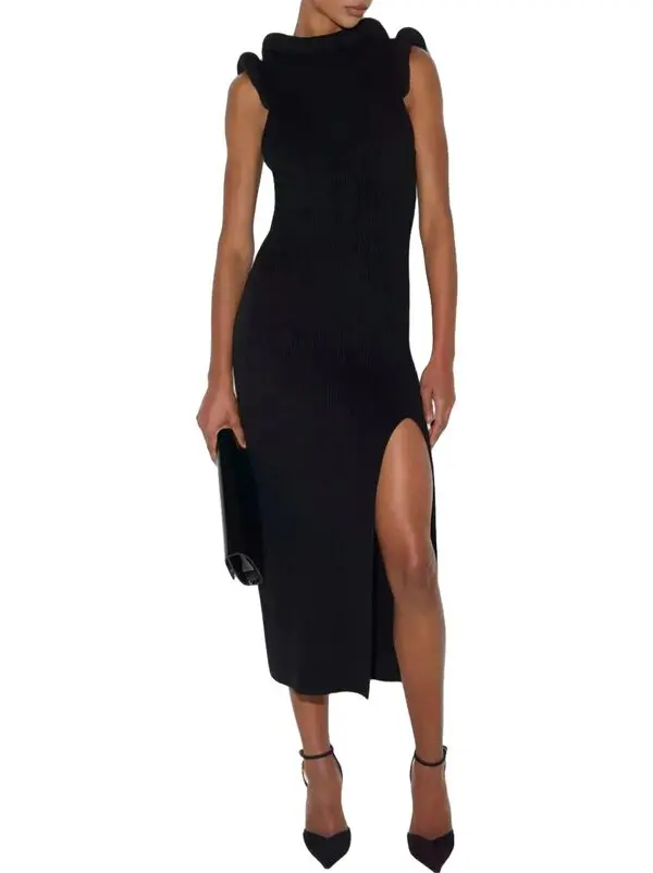 Elisabetta Franchi Ribbed Knit Dress With 3d Volume Detail - Black