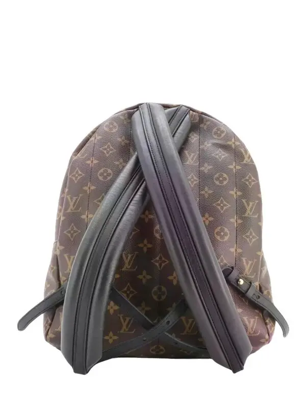 LOUIS VUITTON Palm Springs Monogram Canvas Mm Backpack - Brown