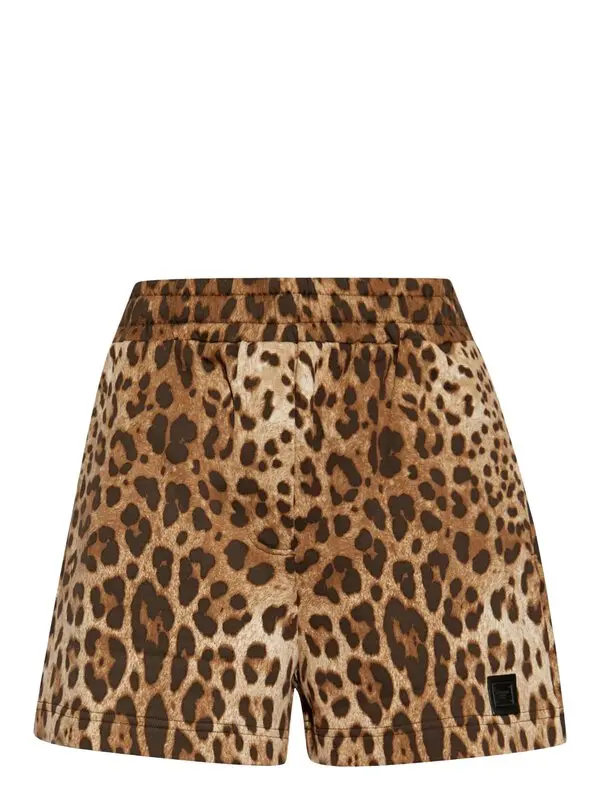 Dolce & Gabbana Leopard Print Cotton Mini Shorts - Marrone