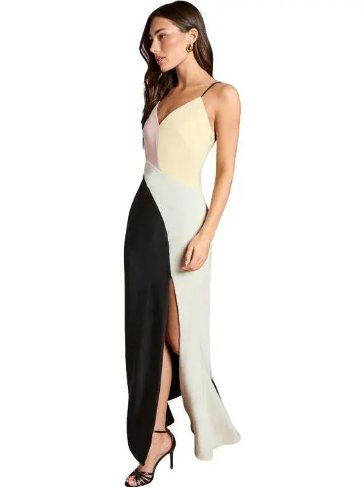 Coast Color Block Maxi Dress - Multi