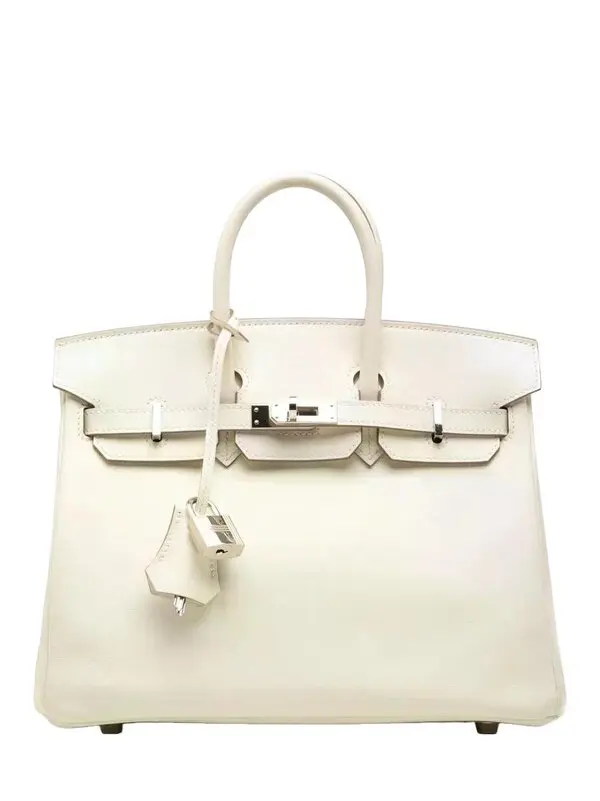 Hermès 2023 Birkin 25 Handbag - White