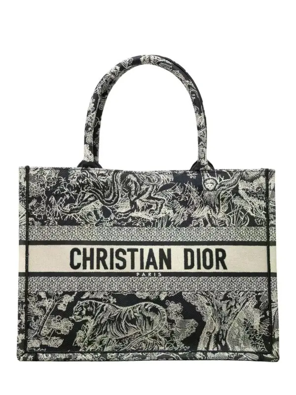 Dior 2023 Medium Canvas Embroidered Dioriviera Toile De Jouy Book Tote Bag - Blue