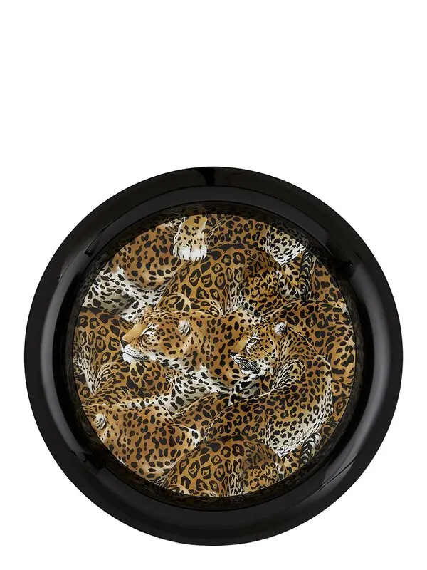 Dolce & Gabbana Leopard Print Round Tray - Multicolor