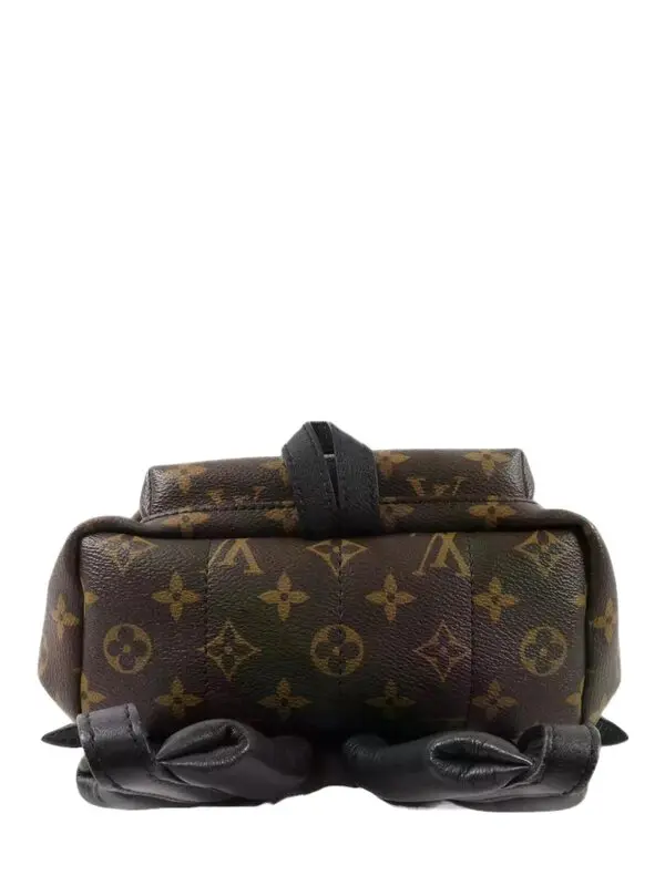 LOUIS VUITTON Monogram Canvas Palm Springs Pm Backpack - Brown