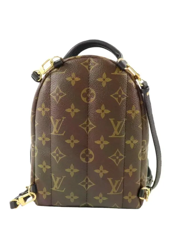 LOUIS VUITTON Mini Palm Springs Backpack - Brown