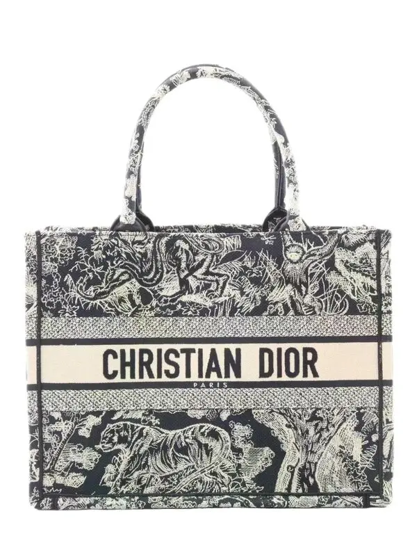Dior Medium Book Tote Bag - Blue