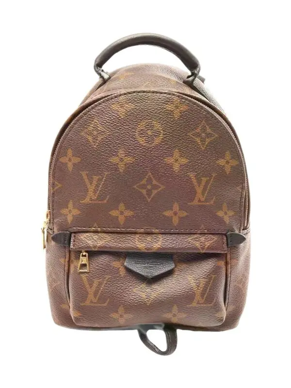 LOUIS VUITTON 2020 Palm Springs Mini Backpack - Brown