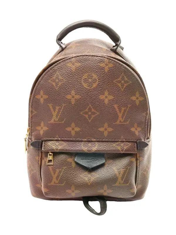 LOUIS VUITTON 2020 Palm Springs Mini Backpack - Brown