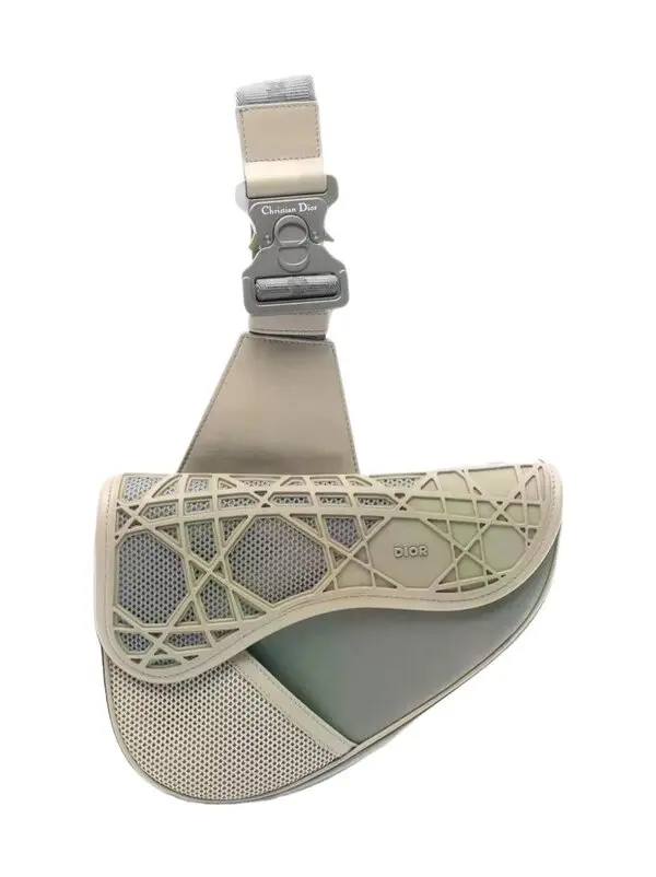 Dior Saddle Belt Bag - Neutrals