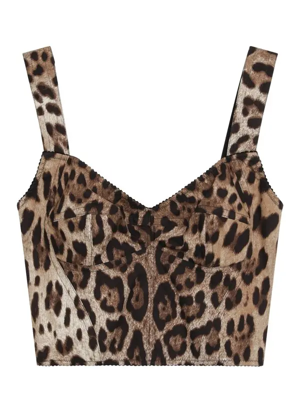 Dolce & Gabbana Leopard-print Cotton Bustier Top - Brown