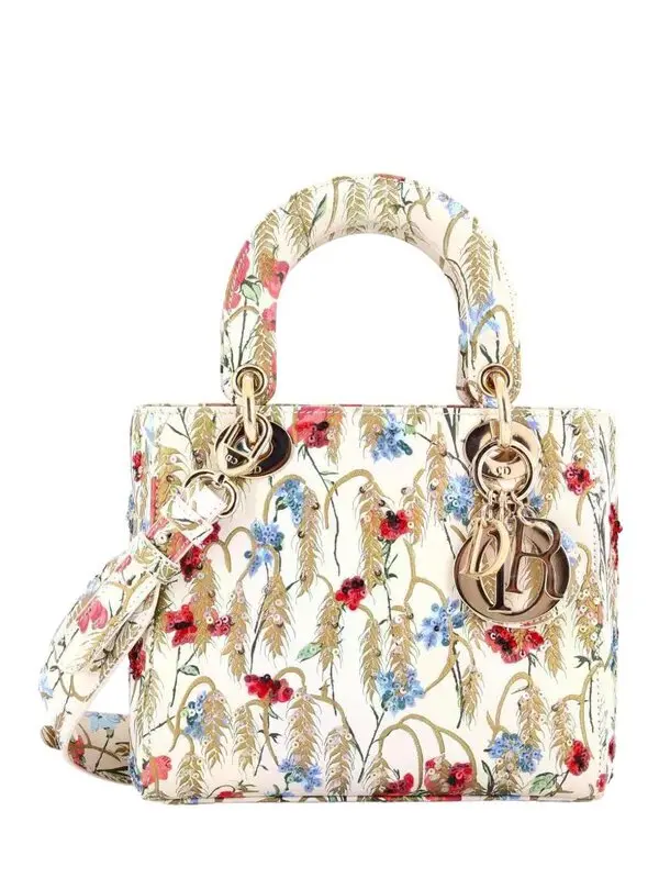 Dior Lady Bag Embroidered Printed Leather Satchel - Neutrals