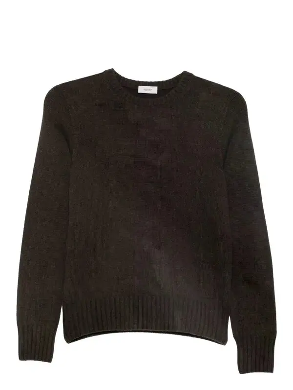 Agnona Crew Neck Sweater - Brown