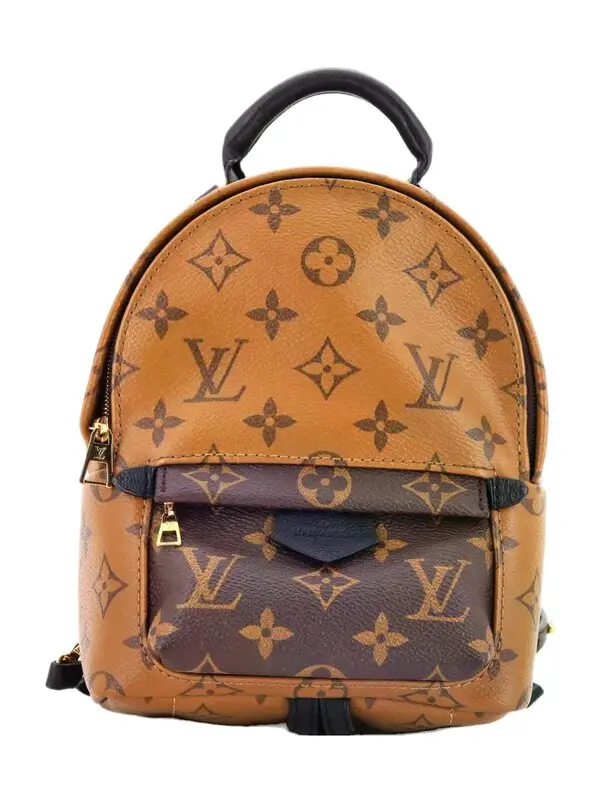 LOUIS VUITTON Palm Springs Mini Backpack - Brown