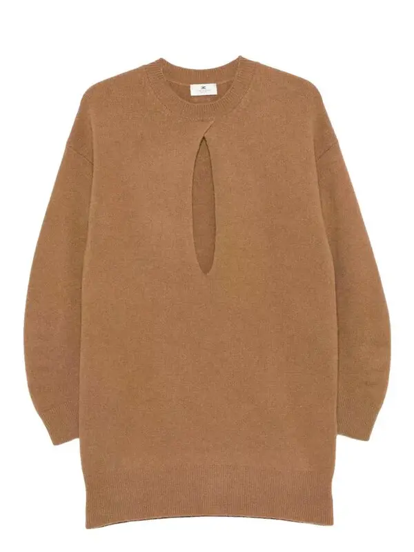 Elisabetta Franchi Cut-out Knitted Mini Dress - Brown