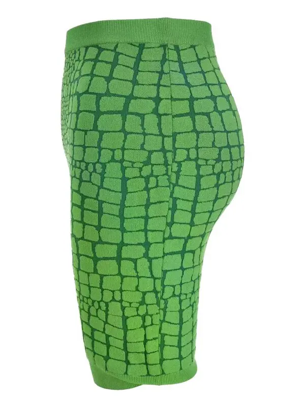 Moschino 2000-2010s Animal Print Knitted Skirt - Green
