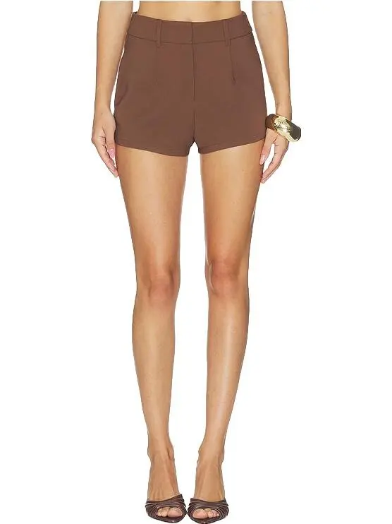ALL THE WAYS Harlem Short - Brown