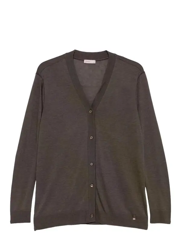 Herno V-neck Button-up Cardigan - Brown