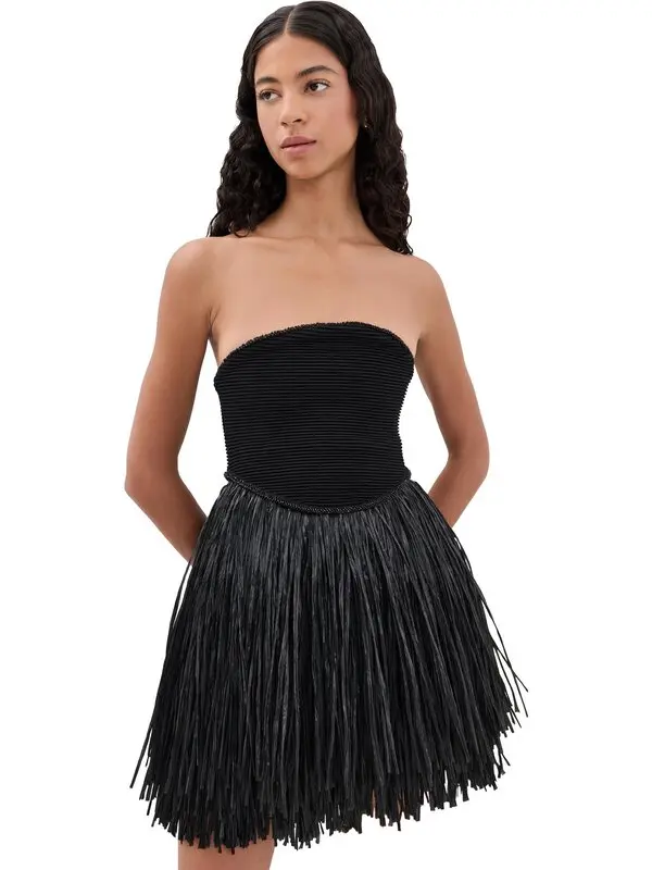 Aje Florentia Raffia Mini Dress - Black