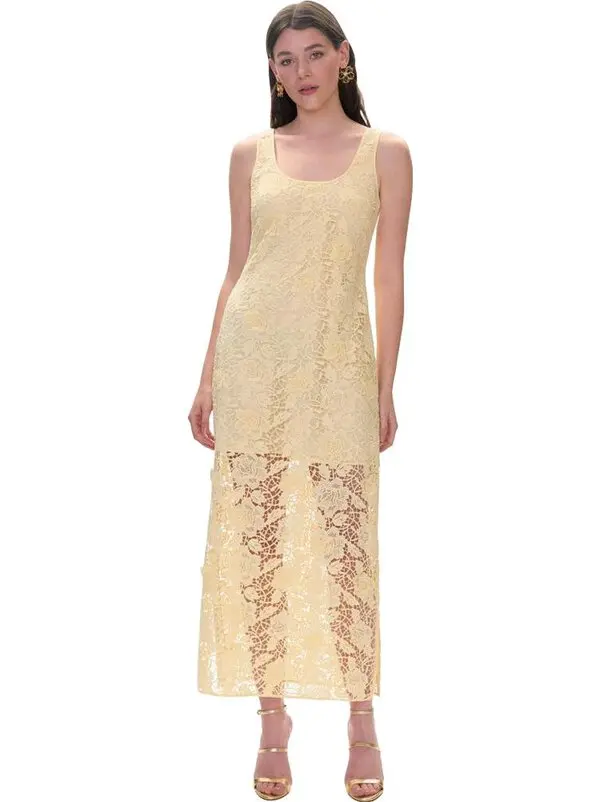 Rebecca Taylor Penelope Lace Maxi Dress - Limoncello