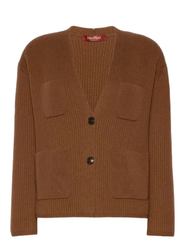 Max Mara Wool And Cashmere V-neck Cardigan With Horn Button Closure - Marrone