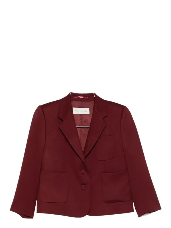 Dries Van Noten Long-sleeved Suit Jacket - Brown