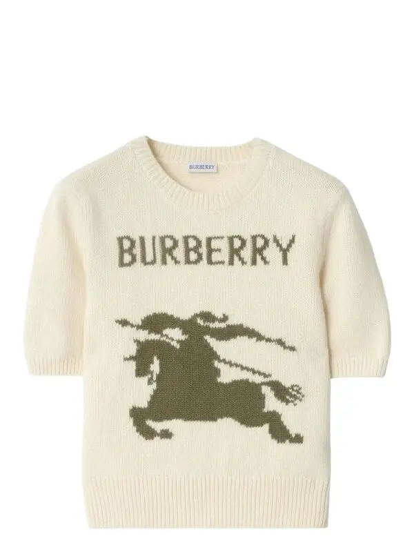 Burberry Skylar Ekd Sweater - Multicolor