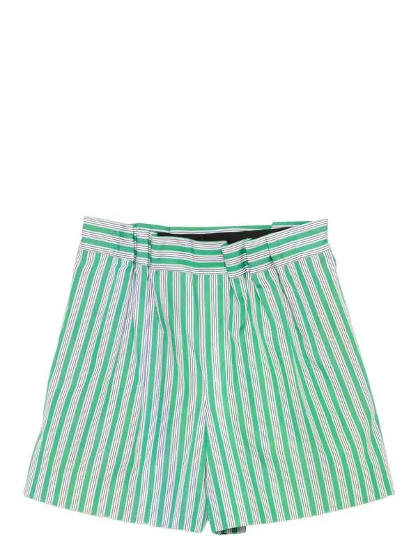 Loewe Striped Pleated Shorts - Green