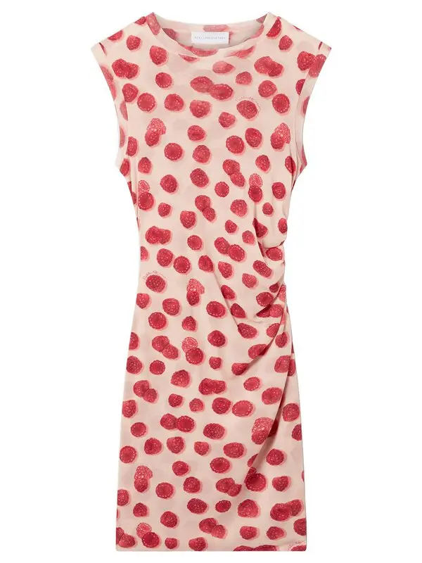 Stella McCartney Raspberry Print Mesh Mini Dress - Red/pink