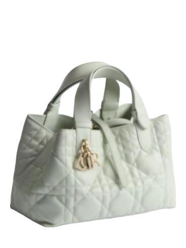 Dior Toujours Small Handbag - Gray