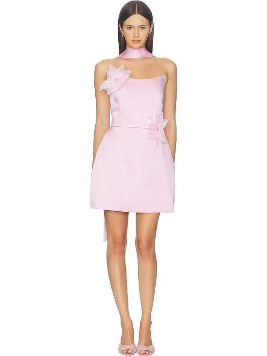 NADINE MERABI Flower Trim Mini Dress - Pink
