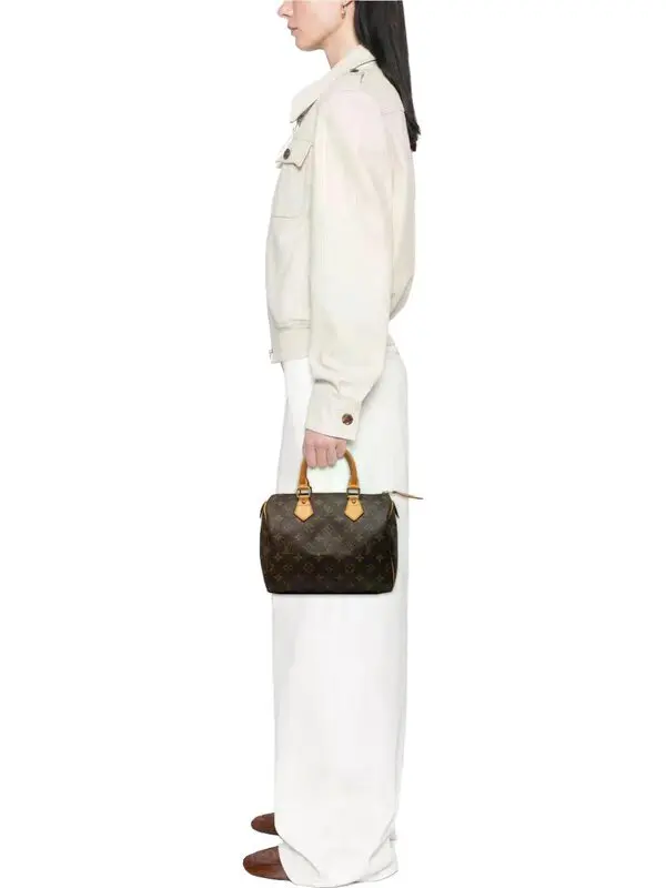 LOUIS VUITTON Monogram Speedy 25 Boston Bag - Brown