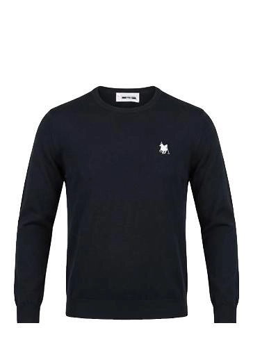 USA POLO SPORT Cotton And Wool Crewneck Sweater - Blue