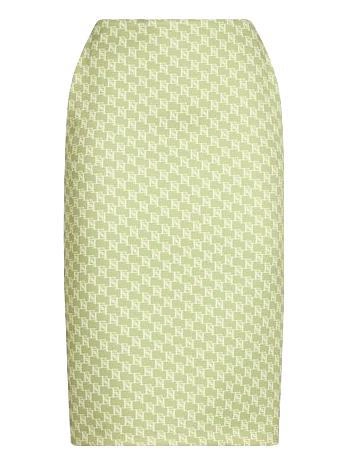 Elisabetta Franchi Pencil Skirt With Logo Print - Green