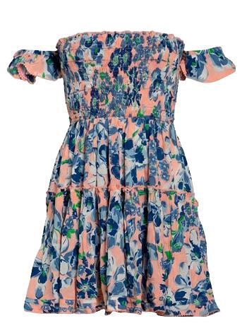 Poupette St Barth Viscose Floral Shirred Off-the-shoulder Mini Dress - Blue