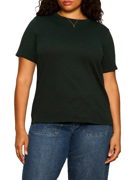 Sanctuary Icon Cotton T-shirt - Forest Green
