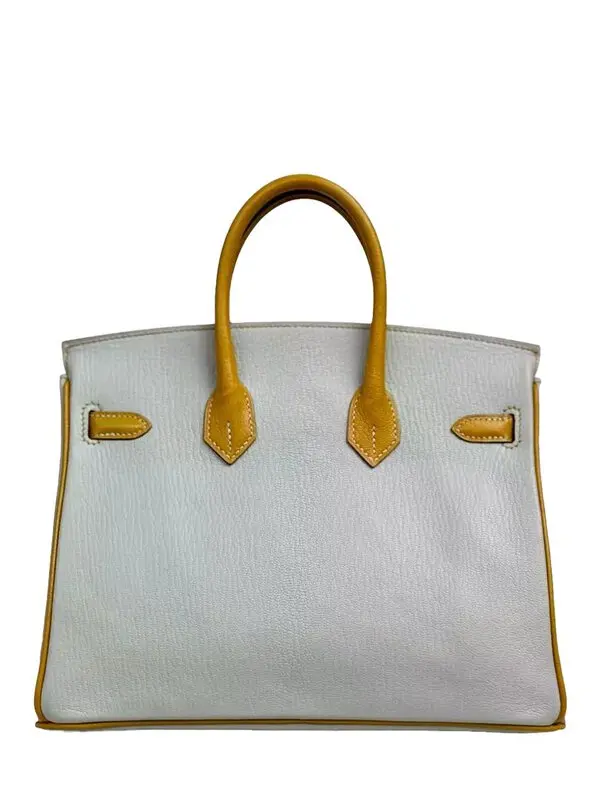 Hermès 2019 Birkin 25 Chèvre Mysore Handbag - Grey