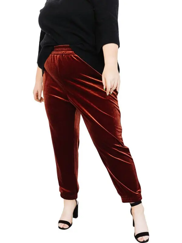 SKIES ARE BLUE Archie Velvet Jogger Pants - Cinnamon
