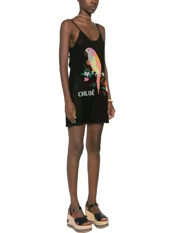 Chloé Embroidered Mesh-knit Mini Dress - Black