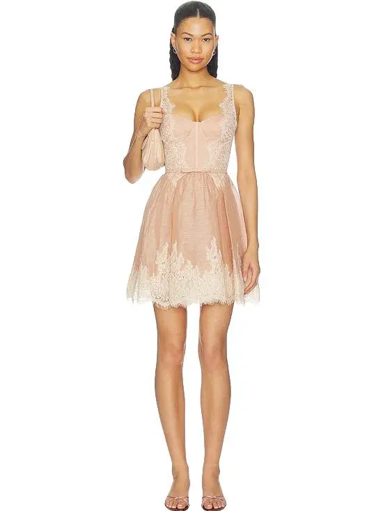 Zimmermann Valiant Lace Trim Mini Dress In Pink - Light Pink