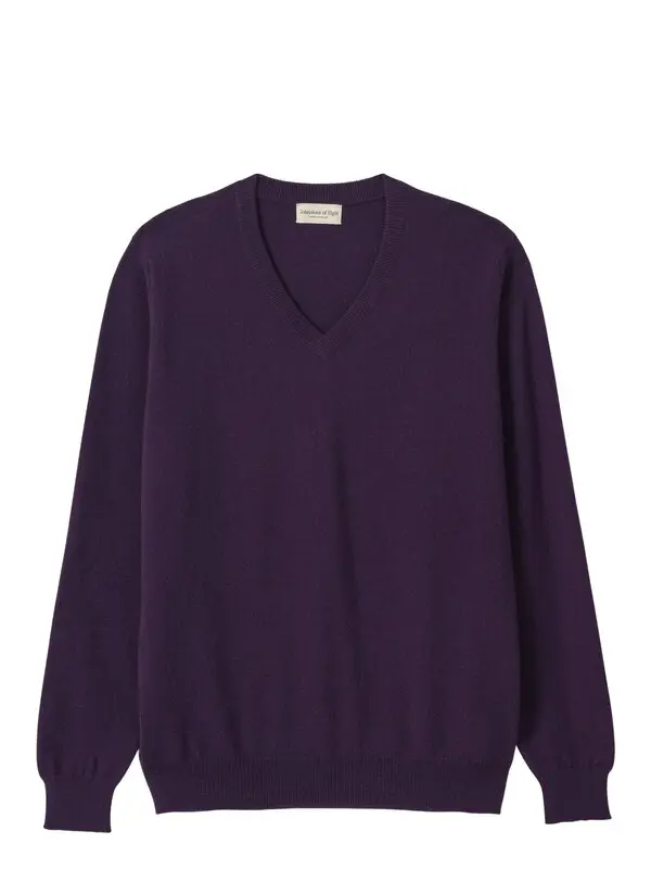 Johnstons Of Elgin Reuben 2-ply Cashmere V-neck Jumper - Purple