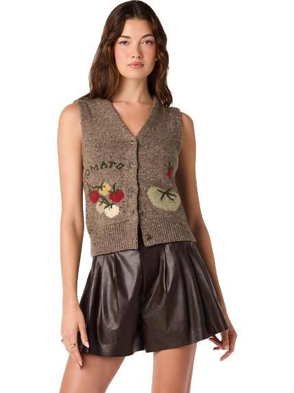 Astr The Label Eira Intarsia Sweater Vest - Mocha