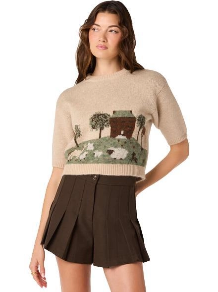Astr The Label Paola Pleated High-rise Mini Shorts - Brown