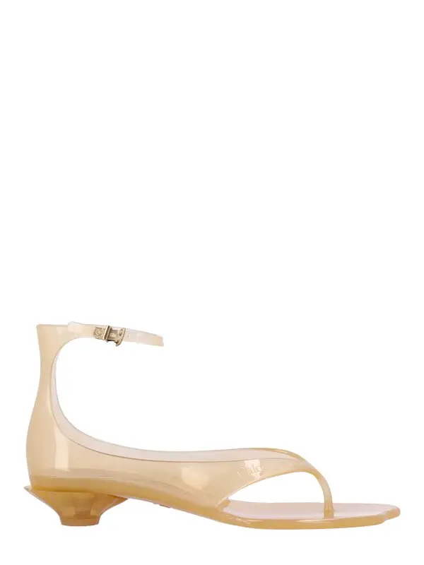 Chloé Transparent Jelly Ankle-strap Sandals - Amberbrown