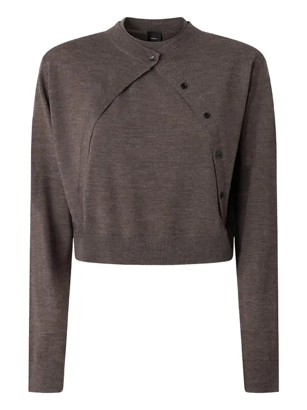 Pinko Asymmetric Button-fastening Sweater - Brown