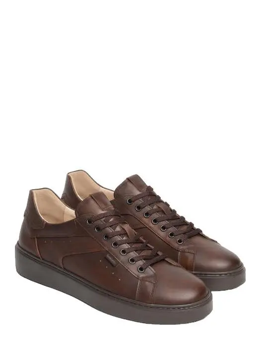 NEROGIARDINI Suede Low Top Sneakers - Brown