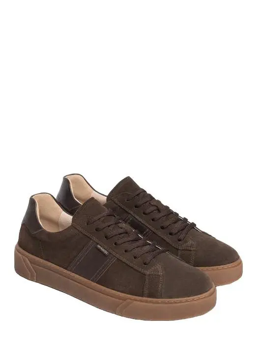 NEROGIARDINI Suede Low Top Sneakers - Chocolate